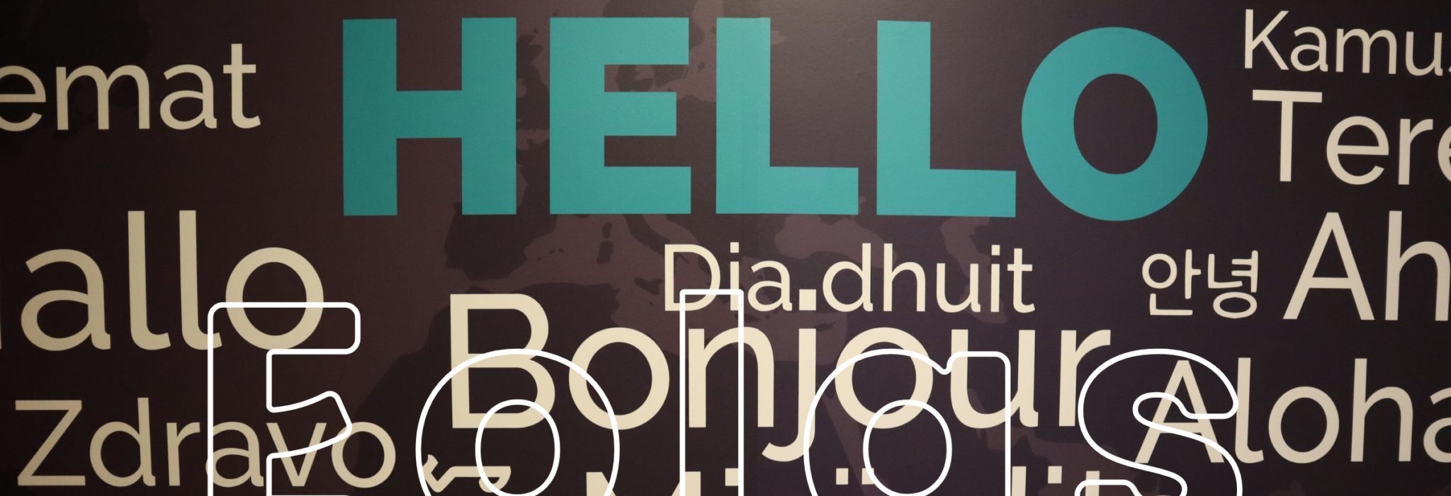 About – Eolas International