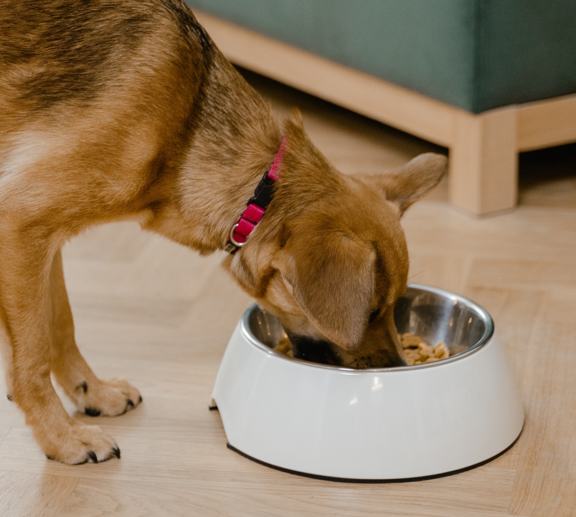 In-Home Product Testing – Eolas International